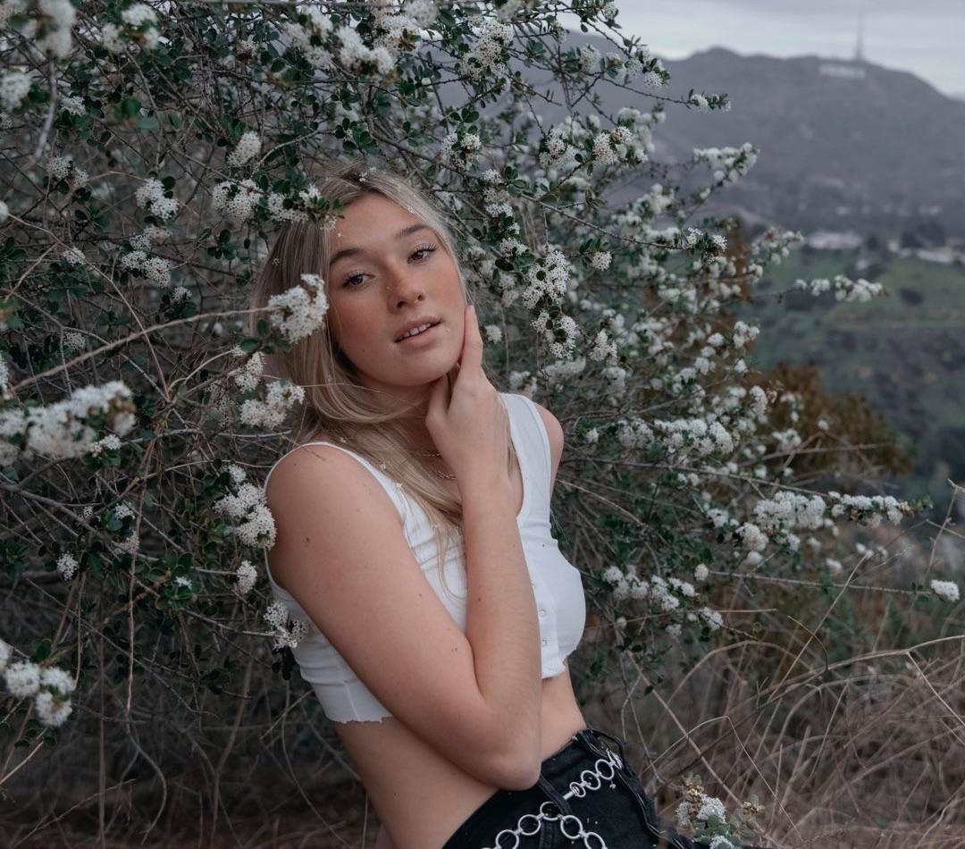 White flowers | Scrolller