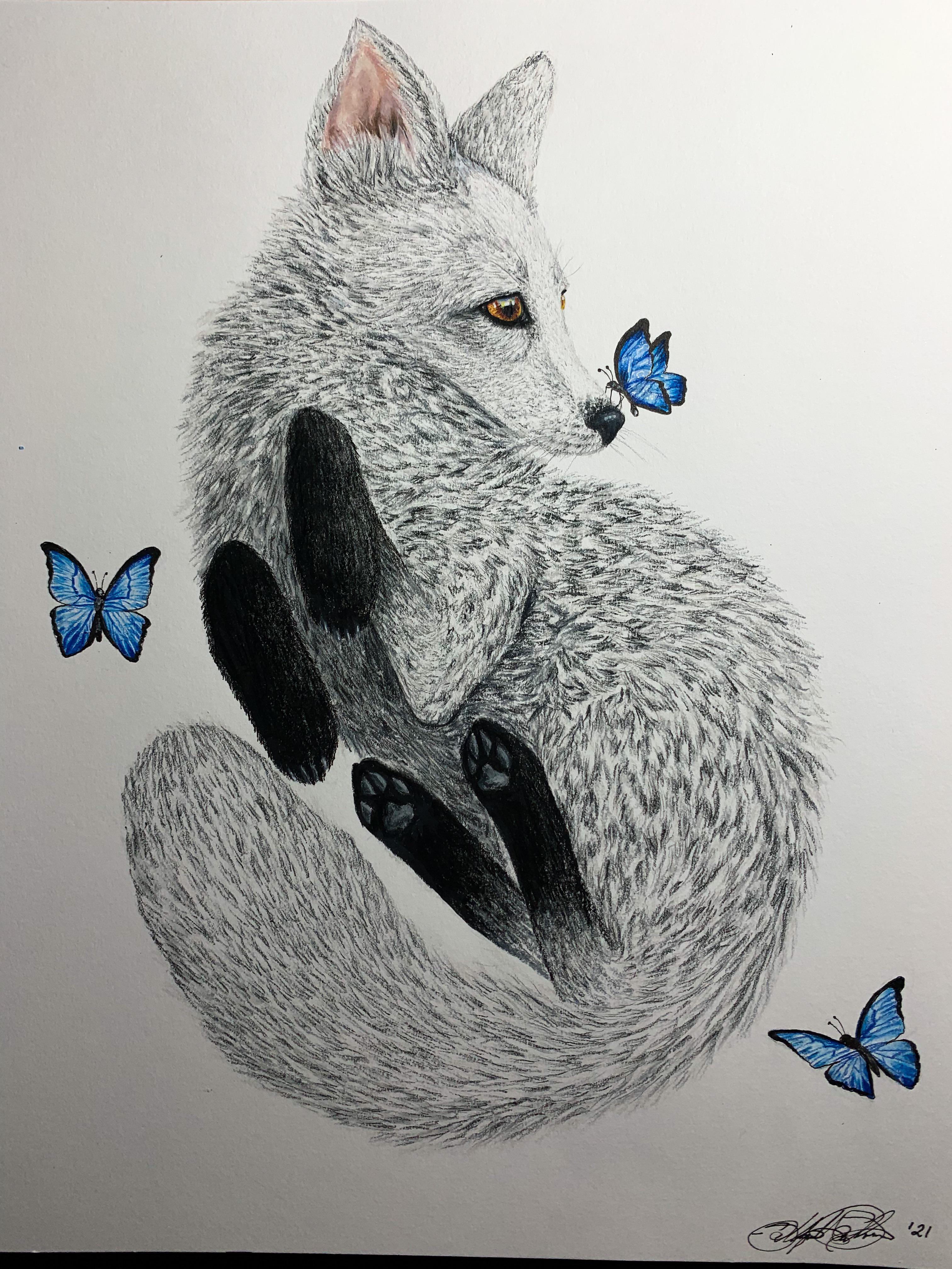 White Fox, Me, colored pencils, 2021 | Scrolller