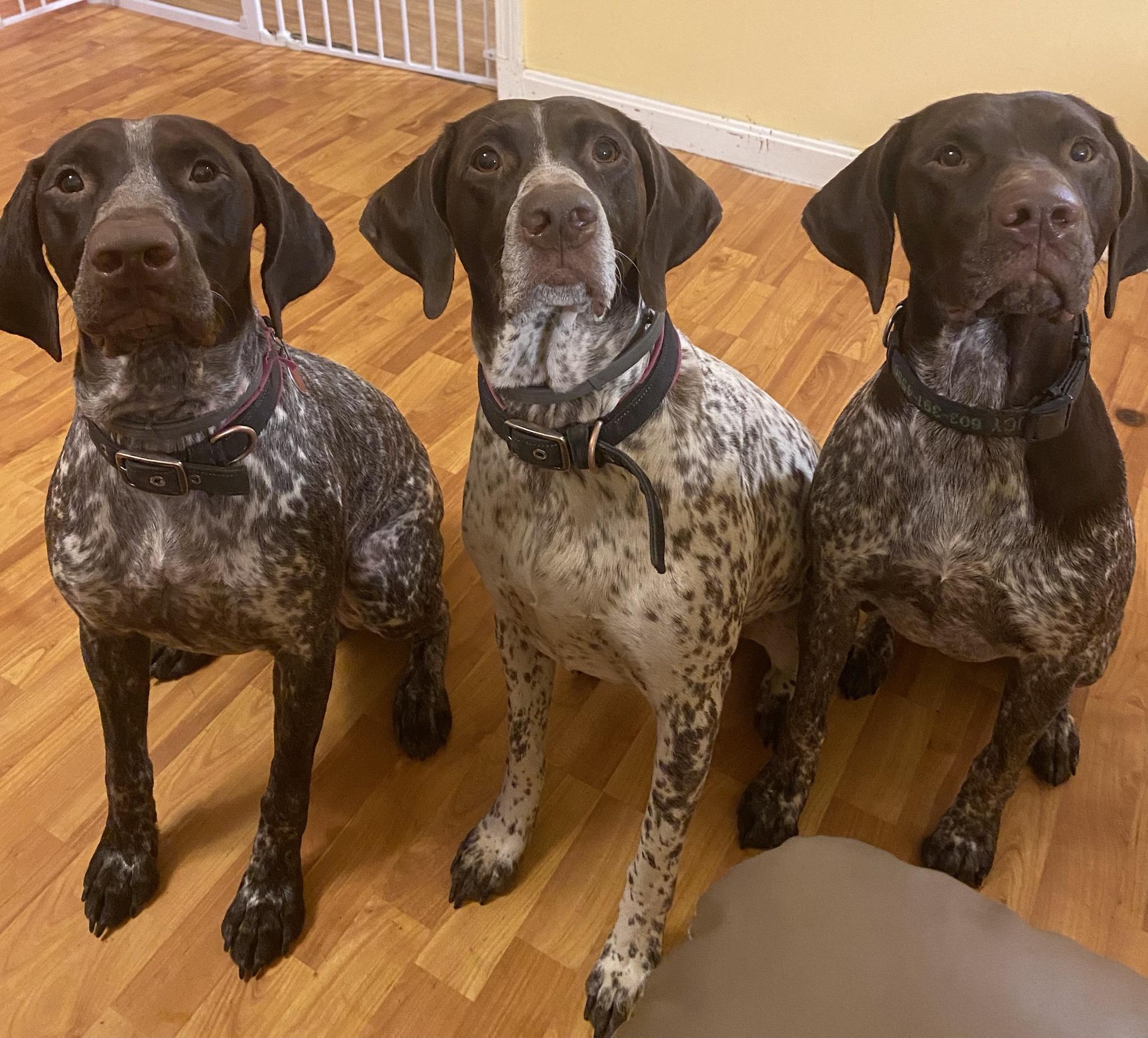 Who is who | Scrolller