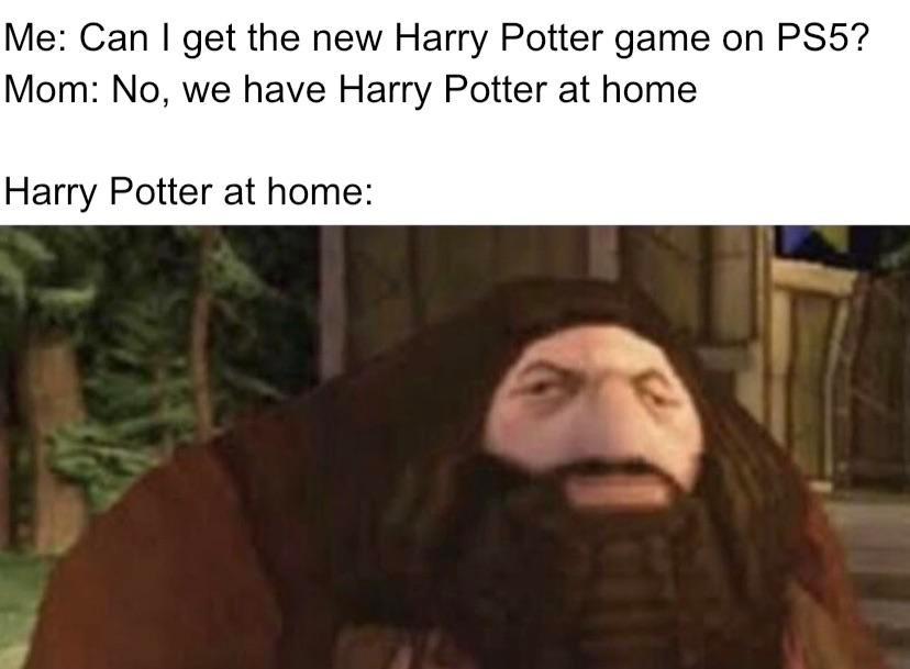 Who’s ready for Hogwarts Legacy? | Scrolller