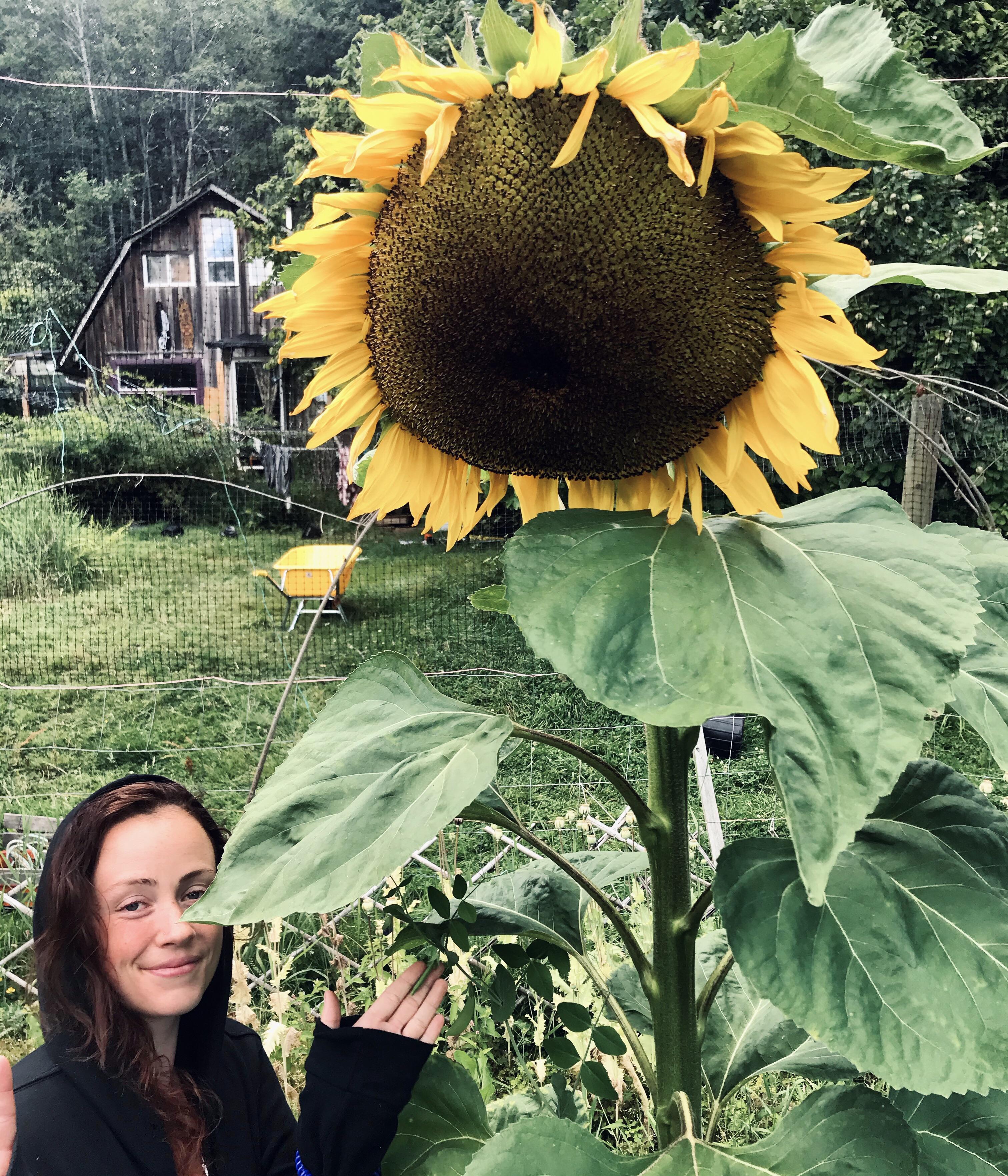 Who’s really higher tho? | Scrolller