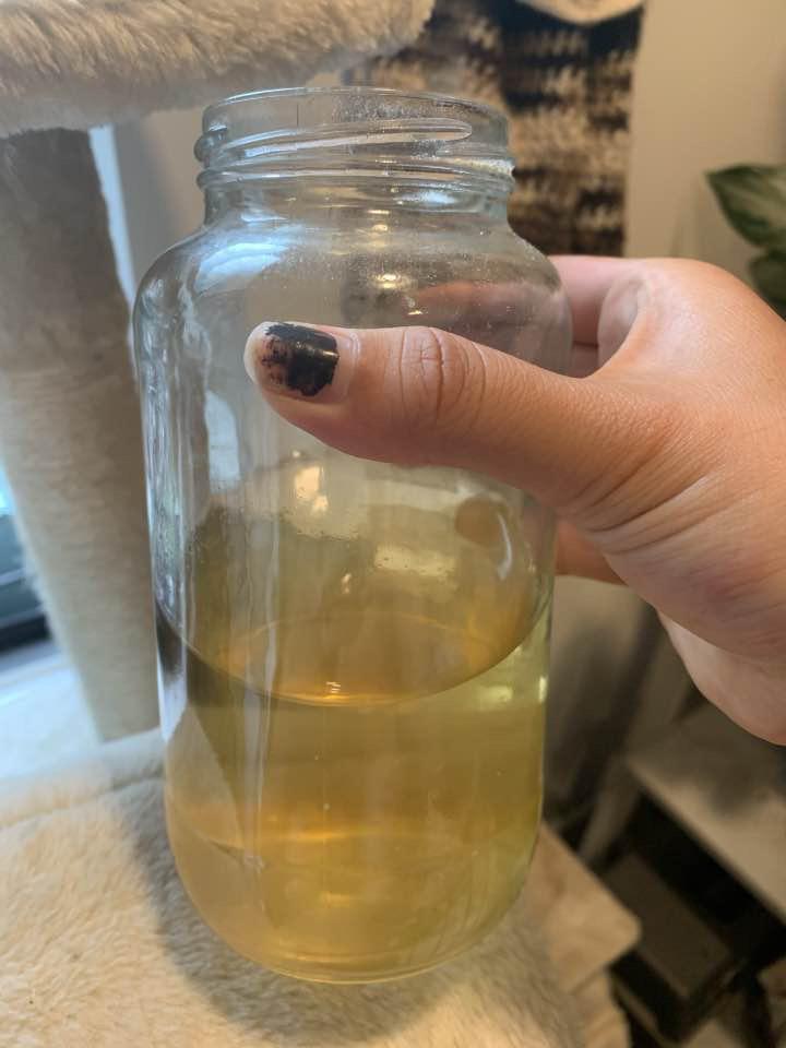 Who wants to send me 💰 to drink my piss 🥵😋🥰 | Scrolller