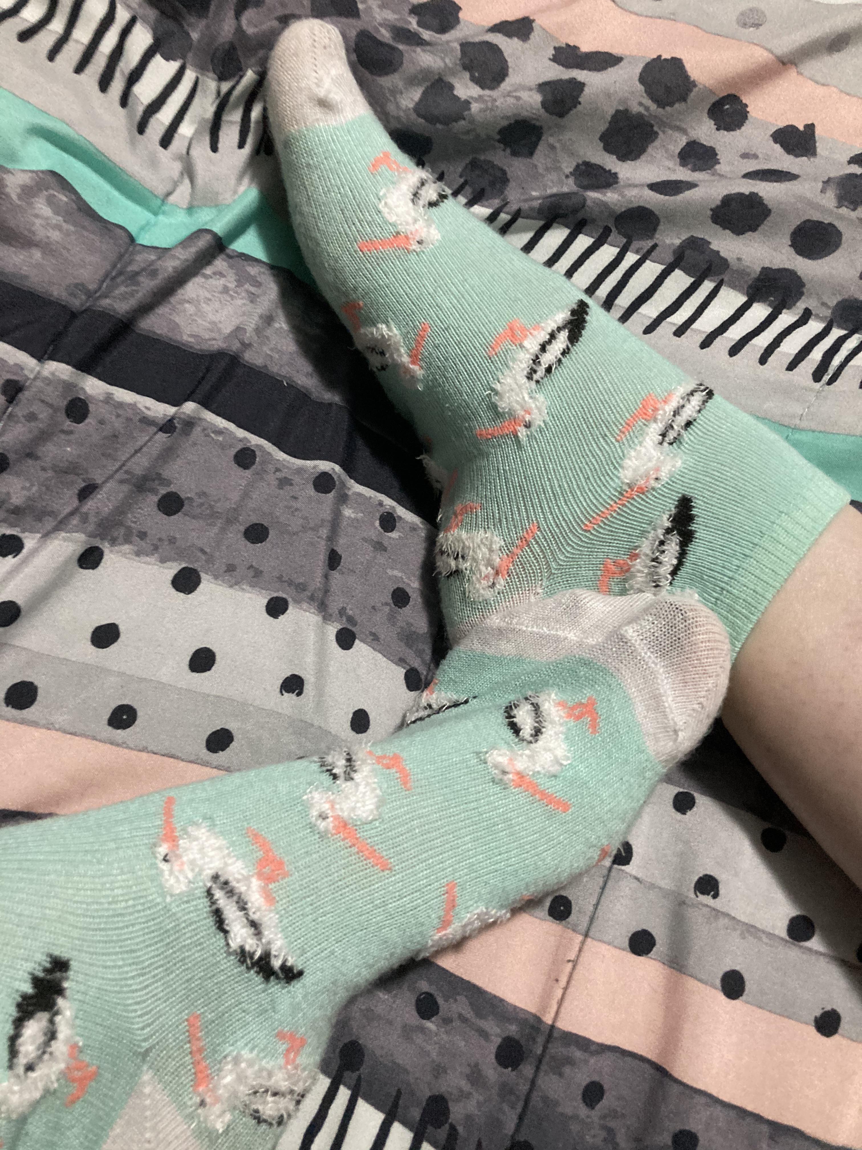 Who wants to sniff my socks? 🥰 | Scrolller