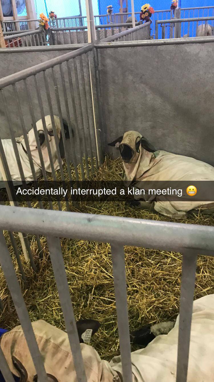 Whoopsie | Scrolller