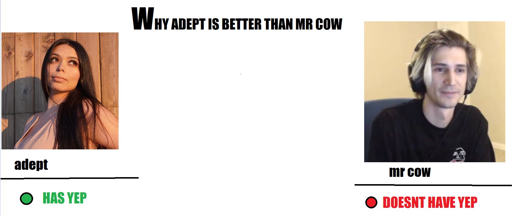 WHY ADEPT IS BETTER THAN MR COW | Scrolller