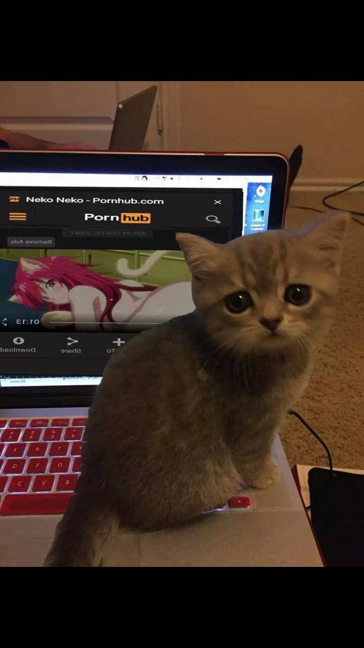 Why are you staring at me like that | Scrolller