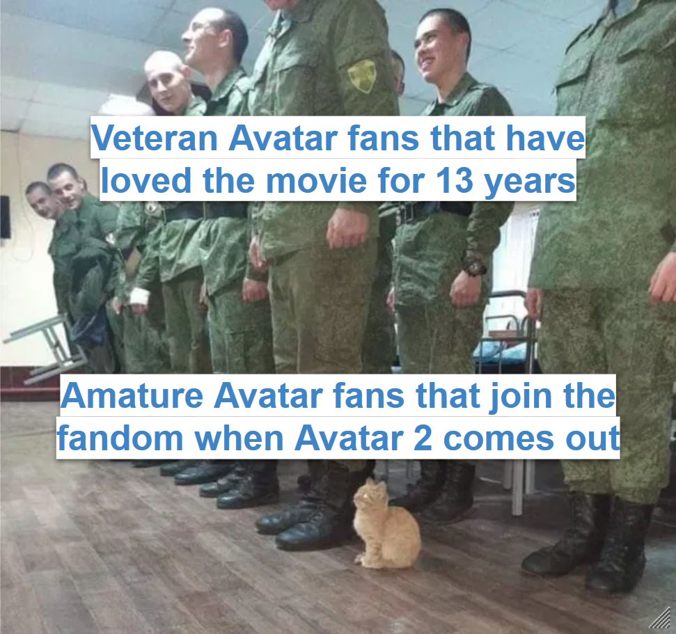 Why did I make this meme? Because it's true! | Scrolller