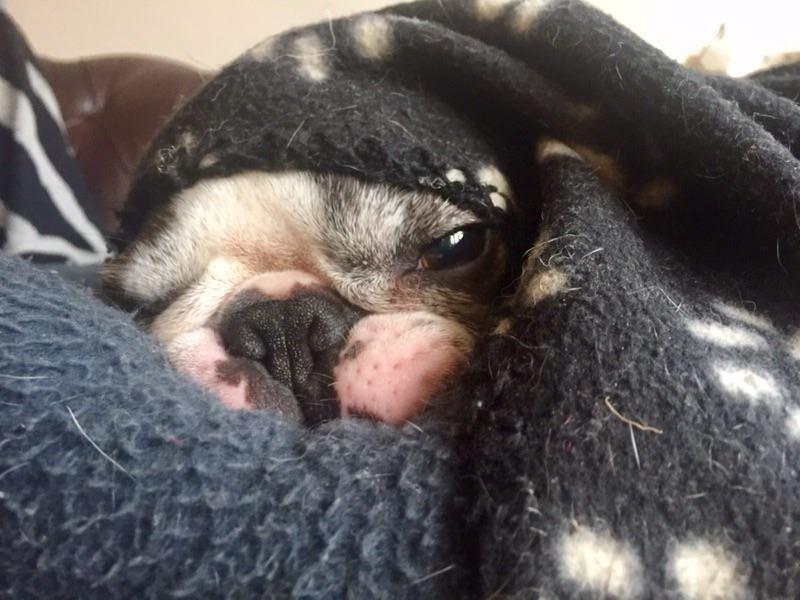 “Why did you wake me?” squishy face | Scrolller