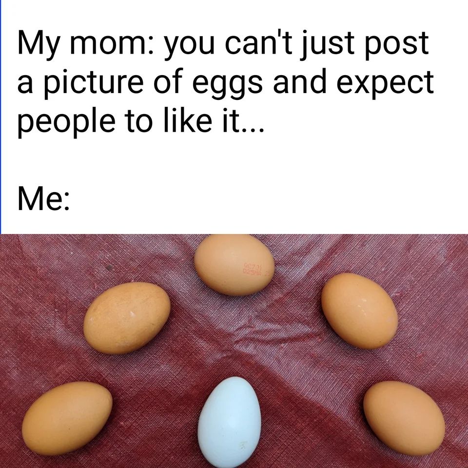 Why do people still think this meme is funny | Scrolller