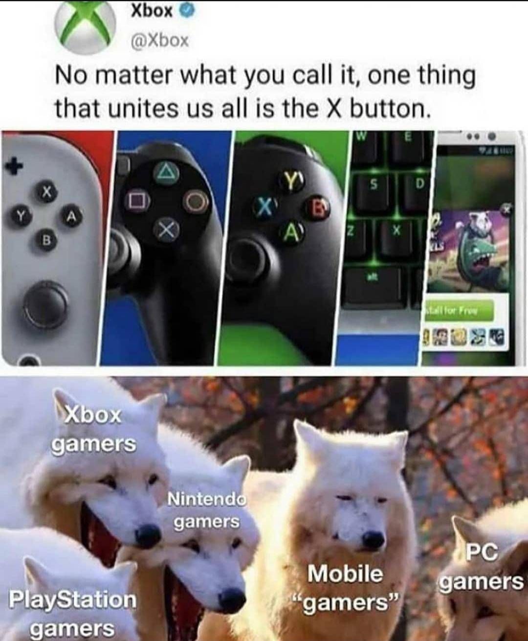 Why does everyone keep using the same template? | Scrolller