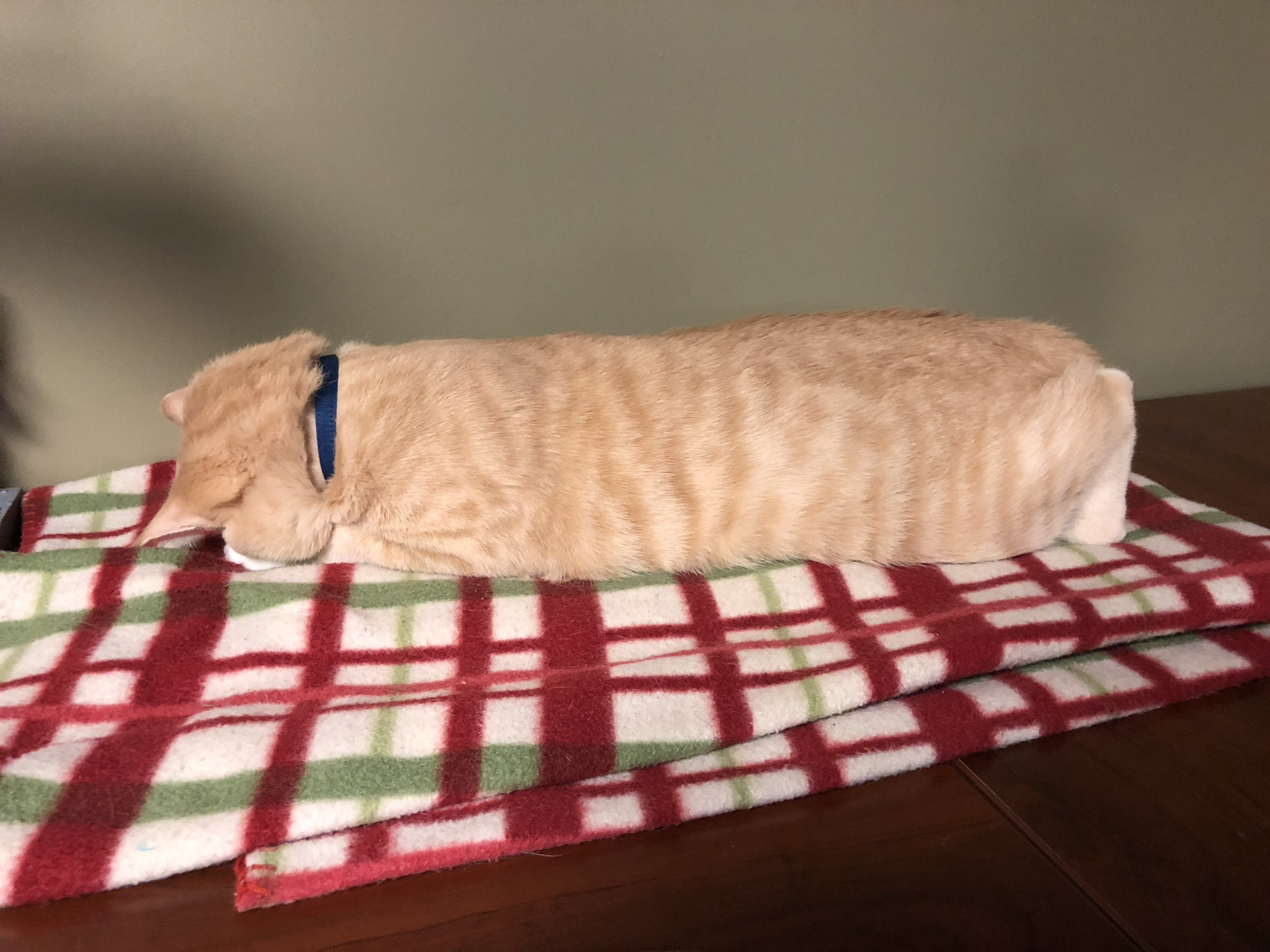 Why he sleepin like that | Scrolller