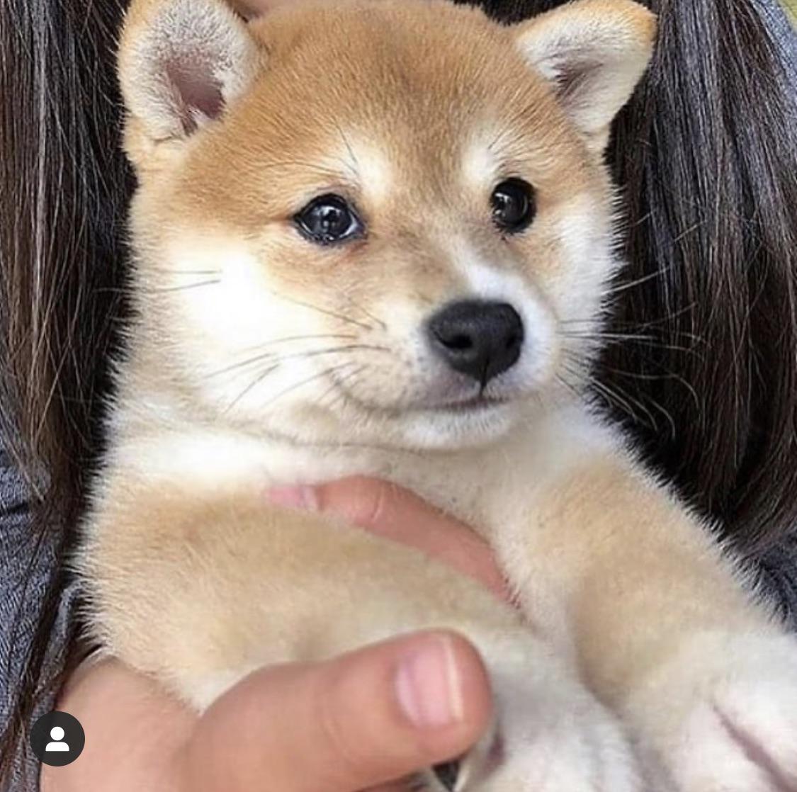 why hello 🥰 | Scrolller