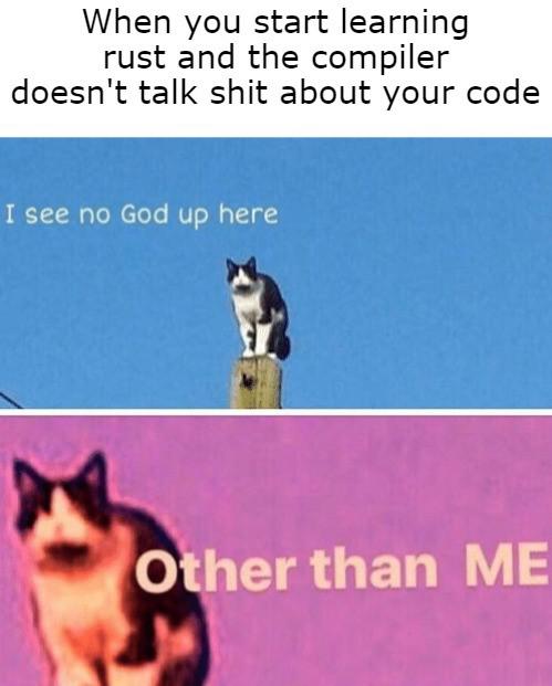 Why is the rust compiler so rude :( | Scrolller