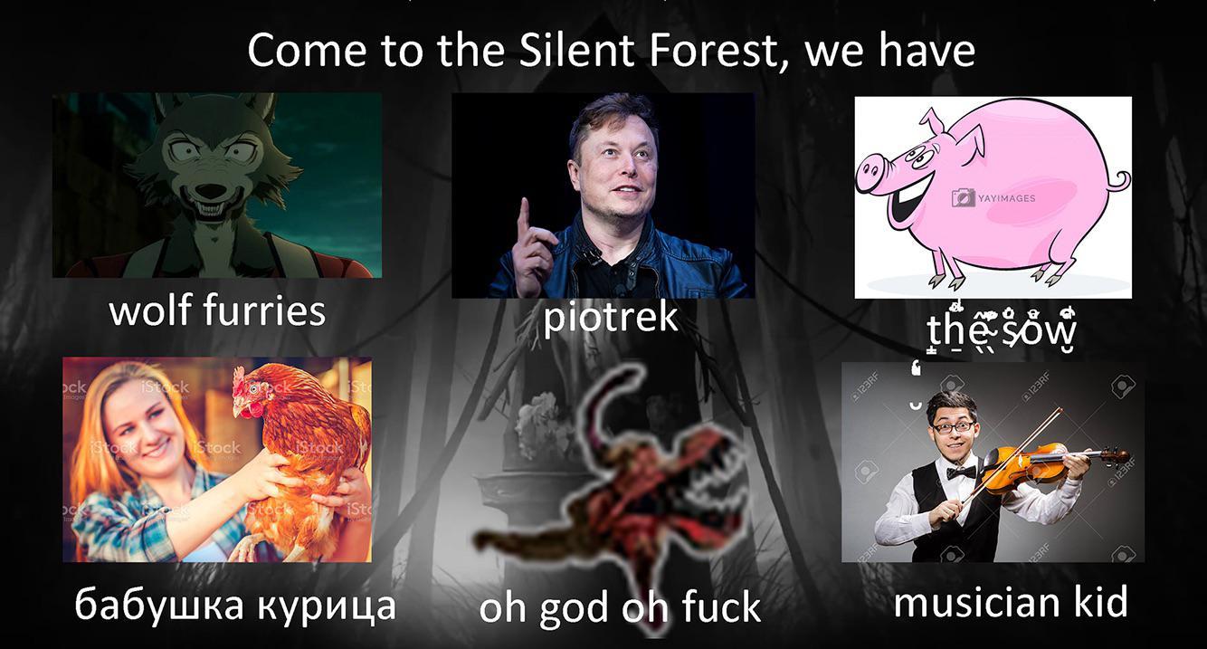 Why not visit the Silent Forest! | Scrolller