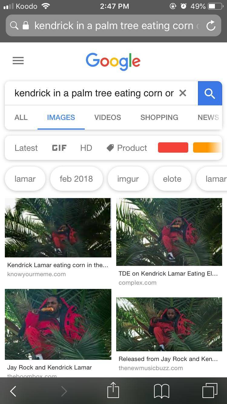 “Why’s your safari in private mode?😏” Me: | Scrolller