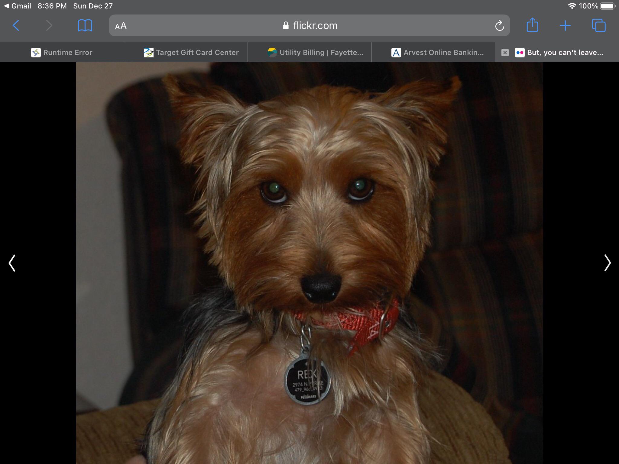 Why so sad? | Scrolller