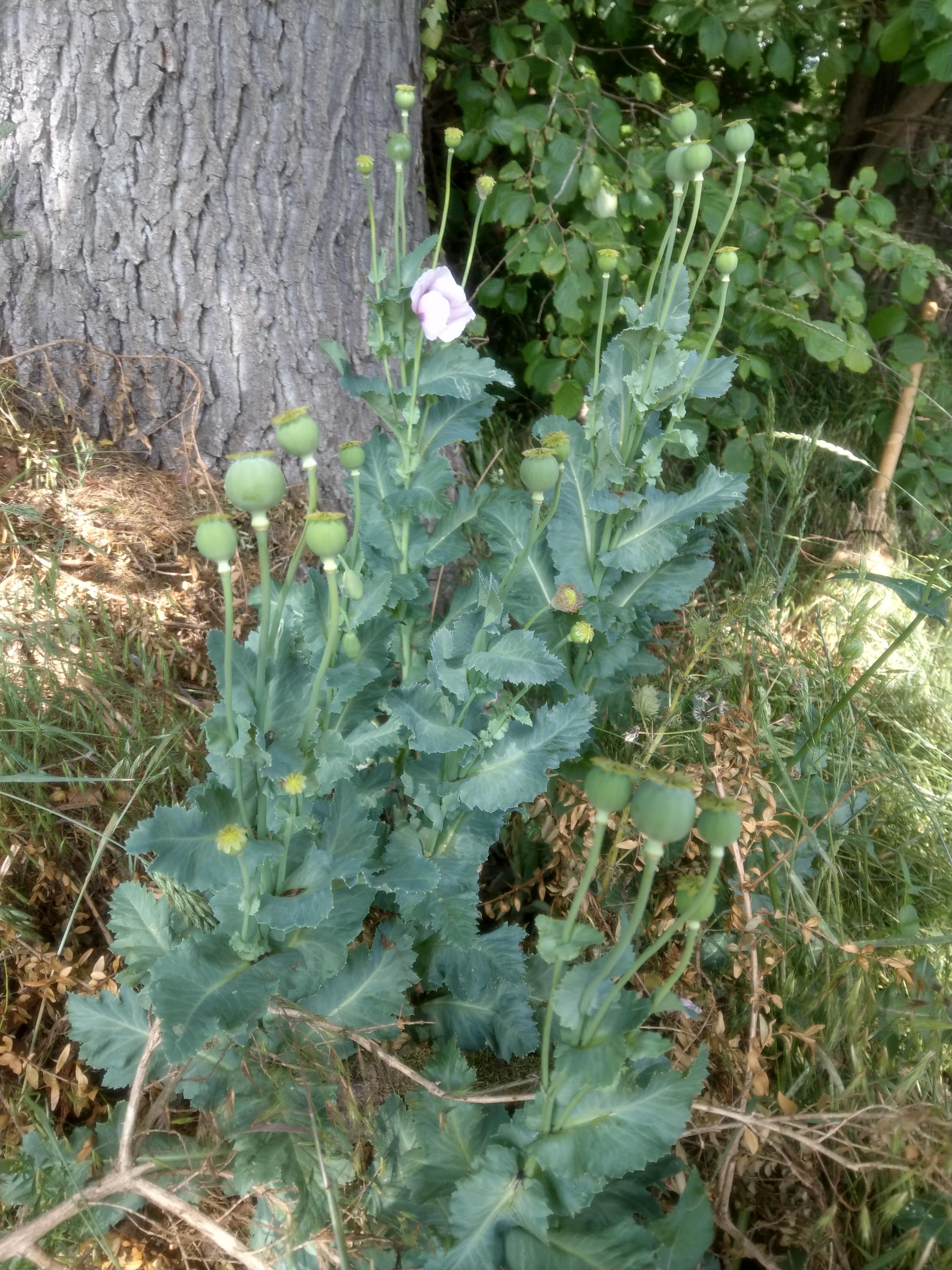 Wild finding | Scrolller