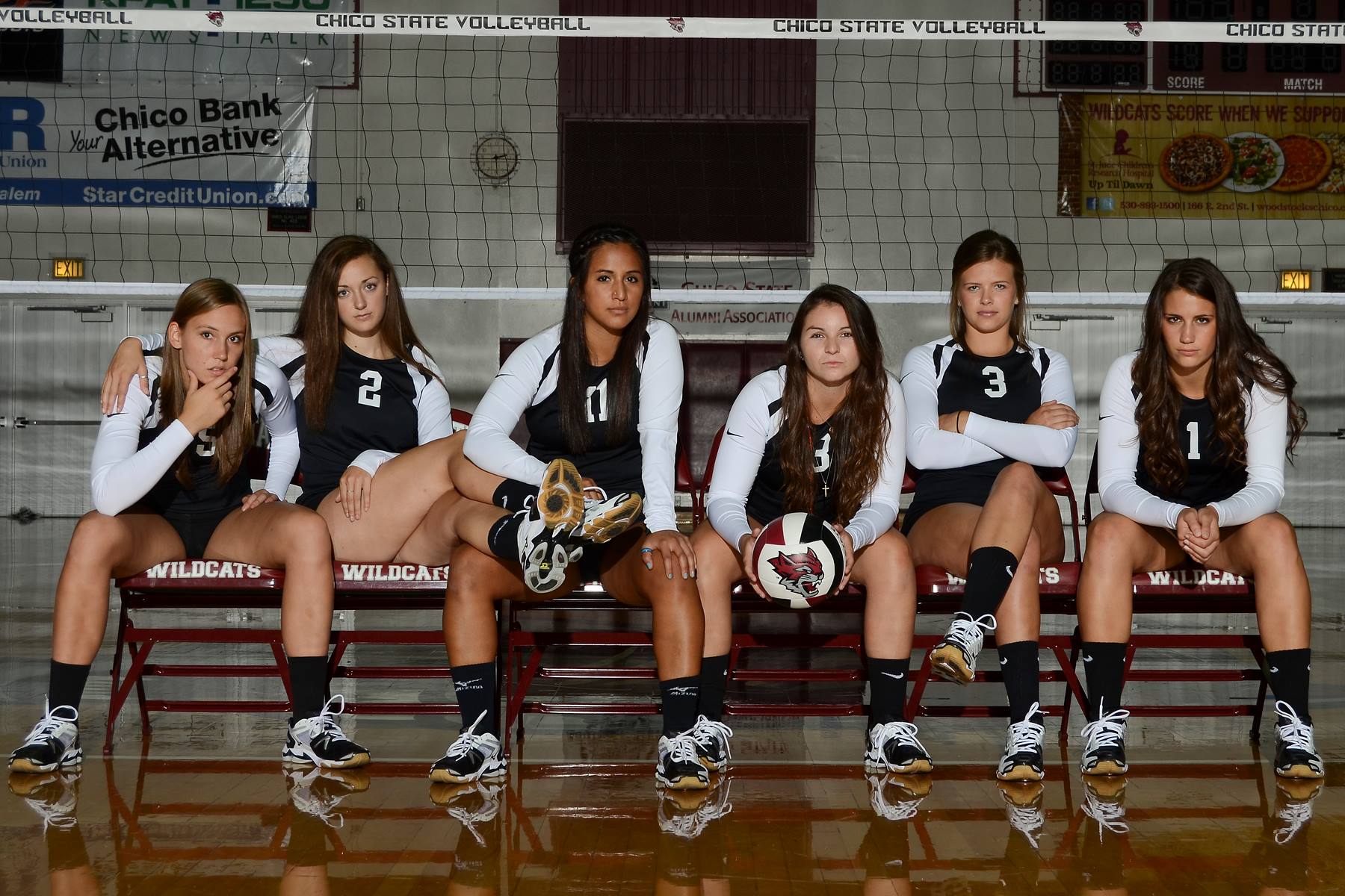 Wildcats Volley team | Scrolller