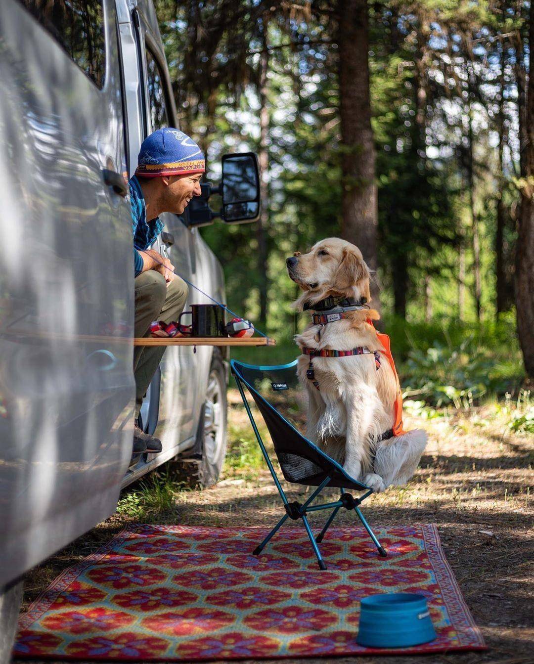 Wilderness mirin. | Scrolller