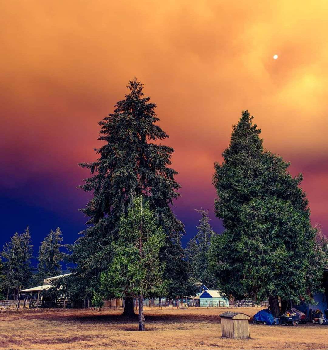 Wildfire smoke | Scrolller