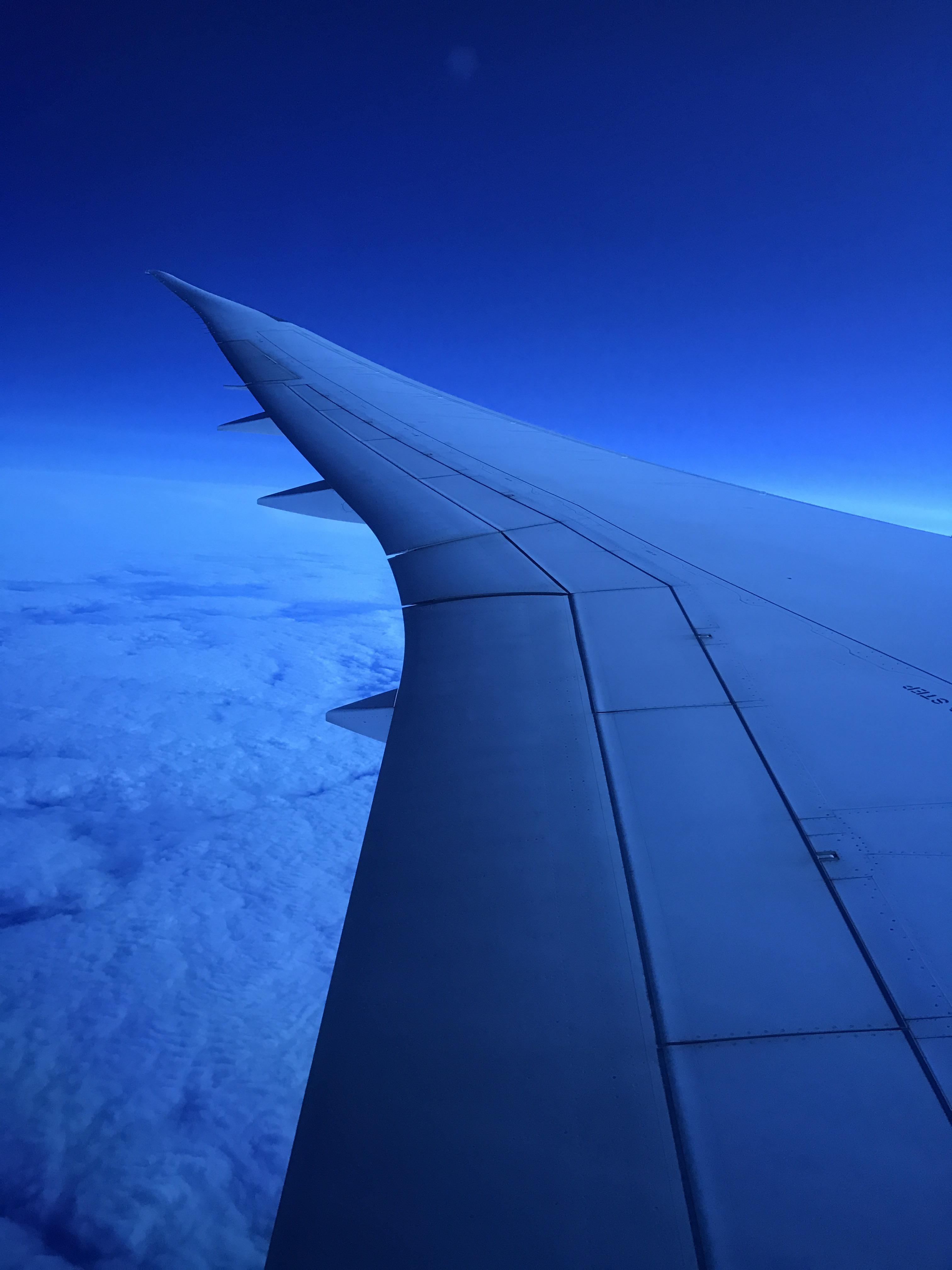 Wing of a Boeing 787 | Scrolller