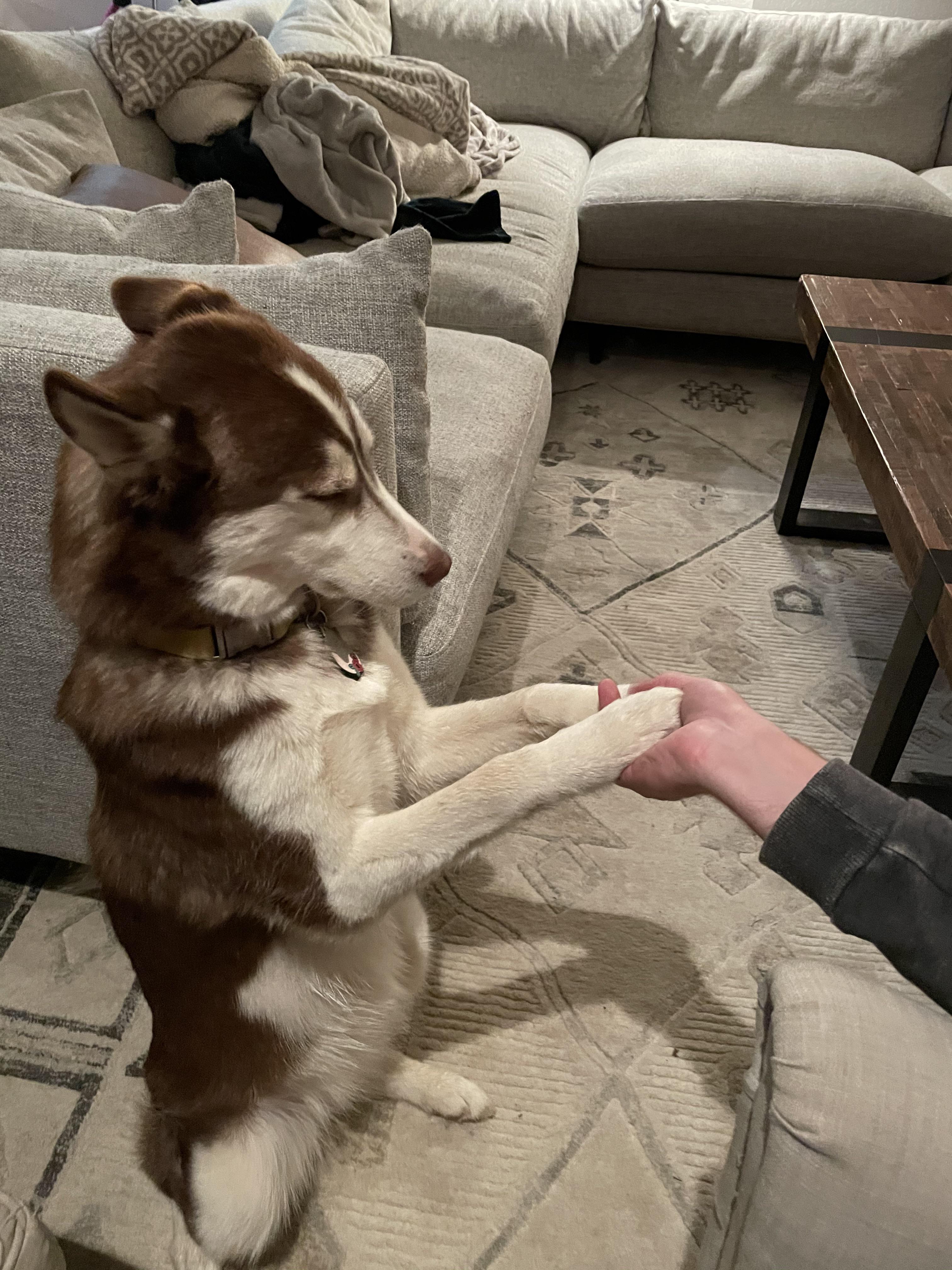 Winter is coming | Scrolller