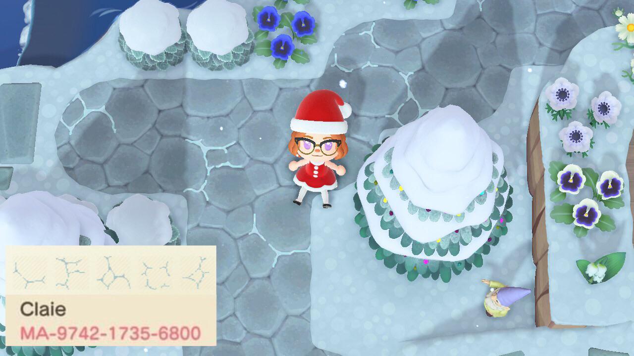 Winter update for my “moss” | Scrolller