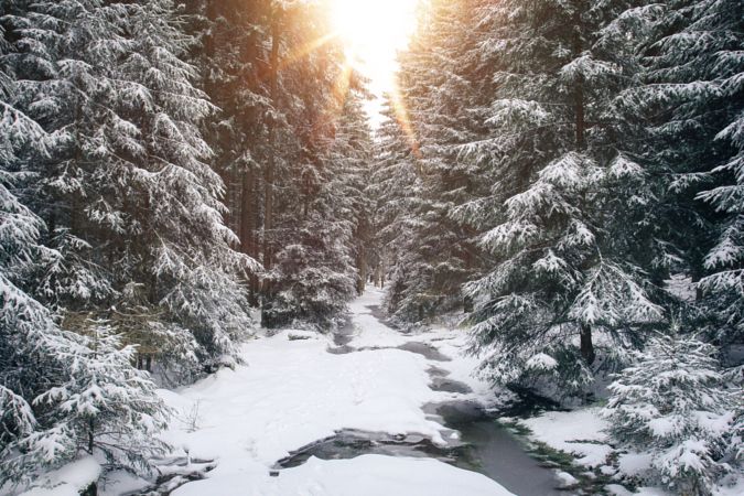 Winter wonderland by Johannes Hulsch | Scrolller