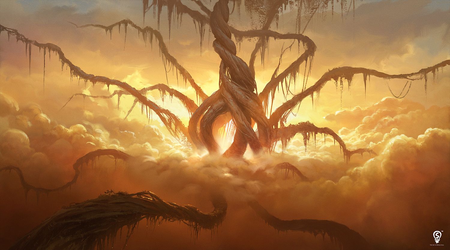 Wise Old Tree by Bryan Sola | Scrolller