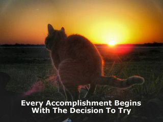 wise words | Scrolller