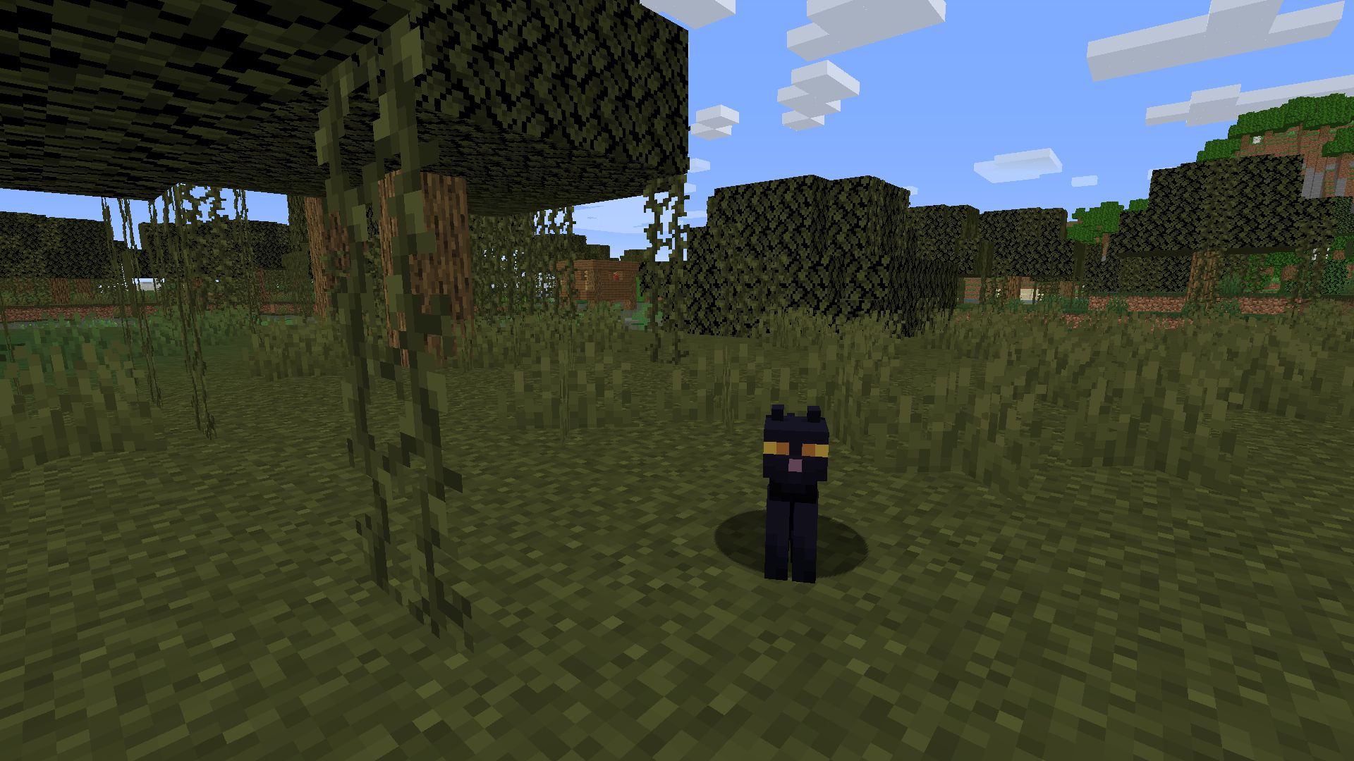 Witch Cat! a forgotten mob | Scrolller