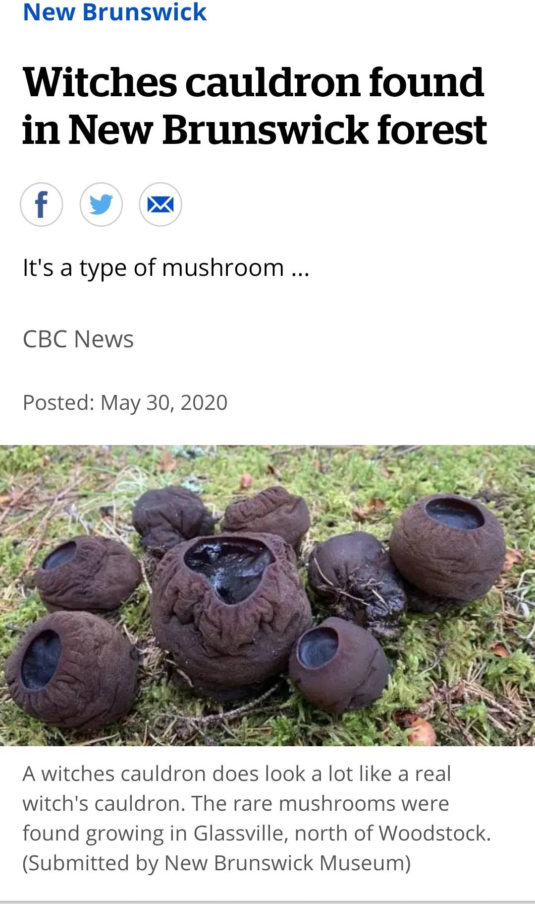 Witches Cauldron! | Scrolller