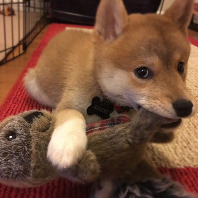 with BFF | Scrolller