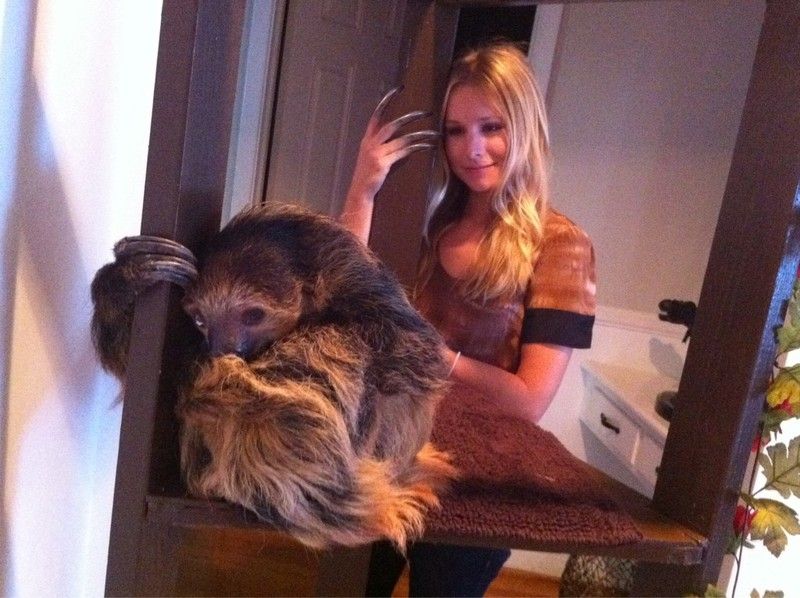 with Sloth | Scrolller