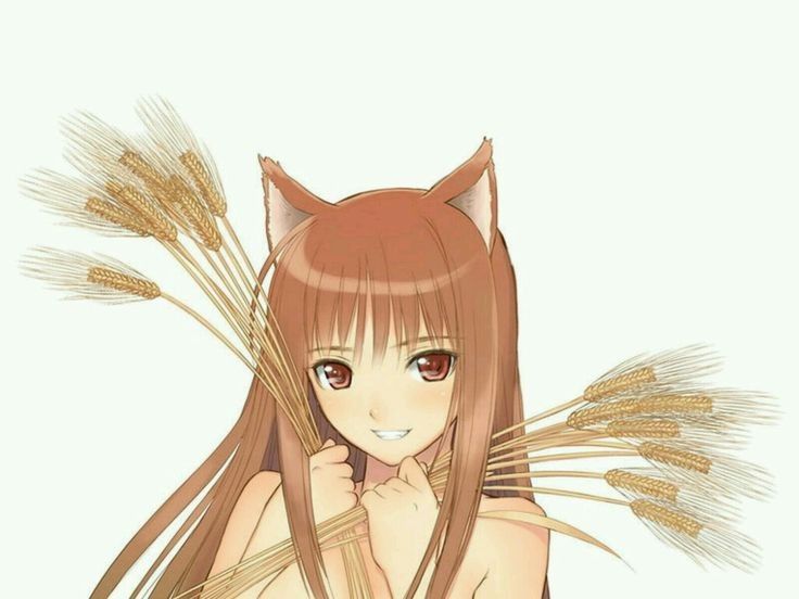 Wolf and Wheat | Scrolller