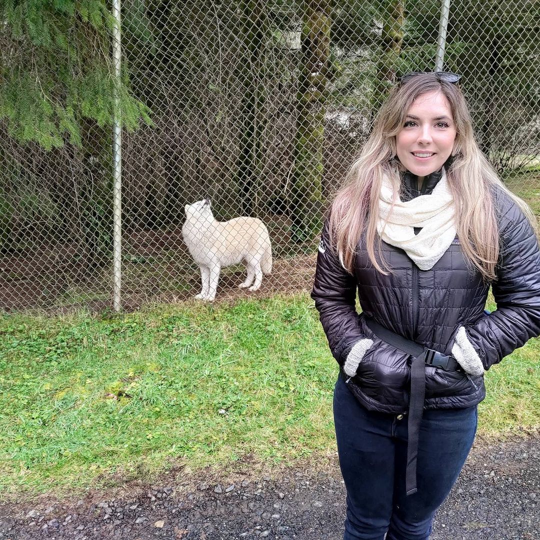 Wolf sanctuary | Scrolller