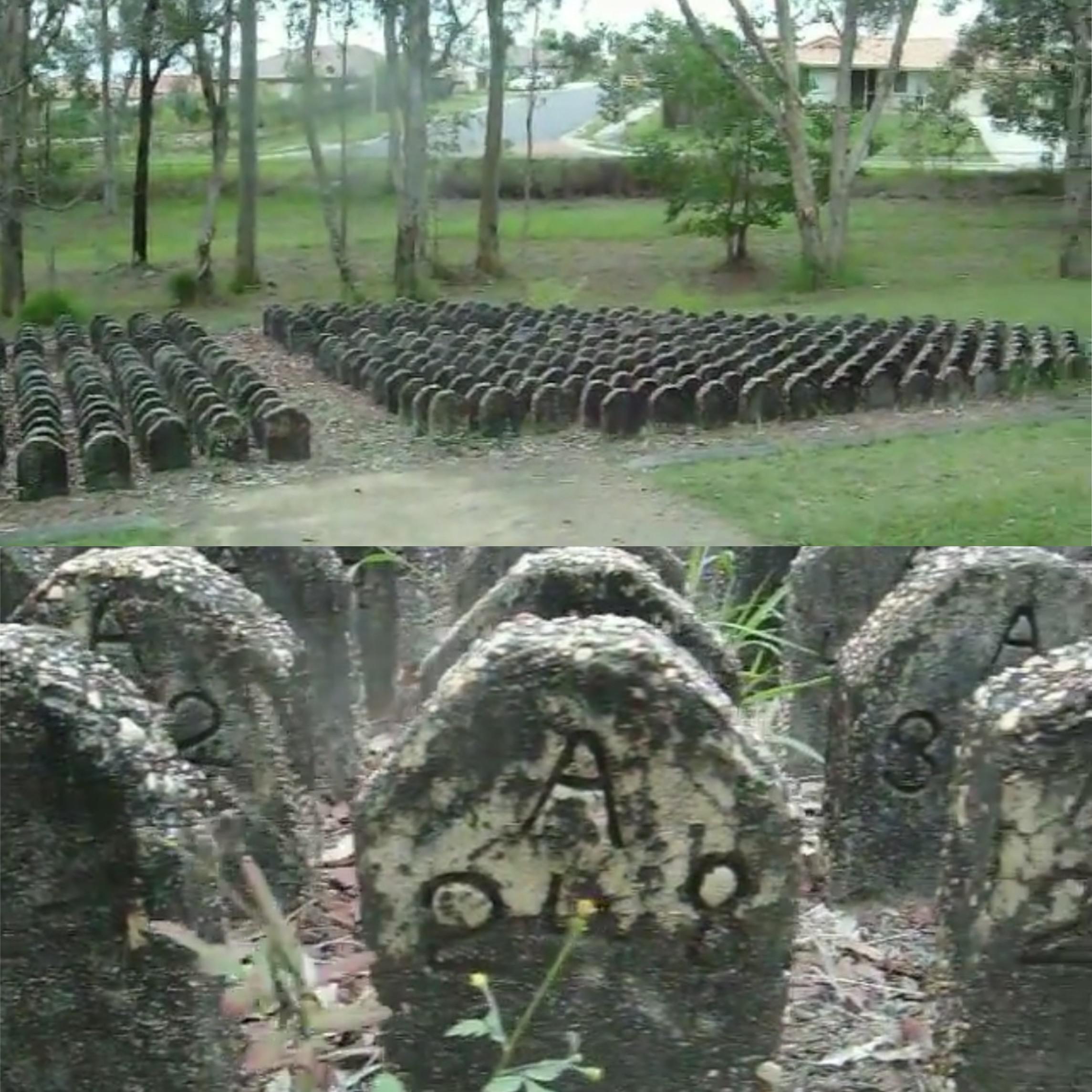 Wolston Park Psychiatric Facility unmarked graves | Scrolller