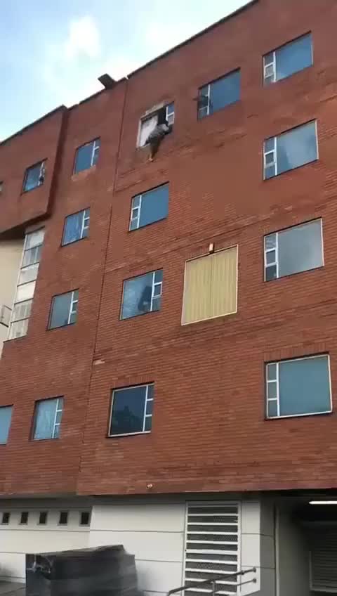 Woman falls out a window | Scrolller