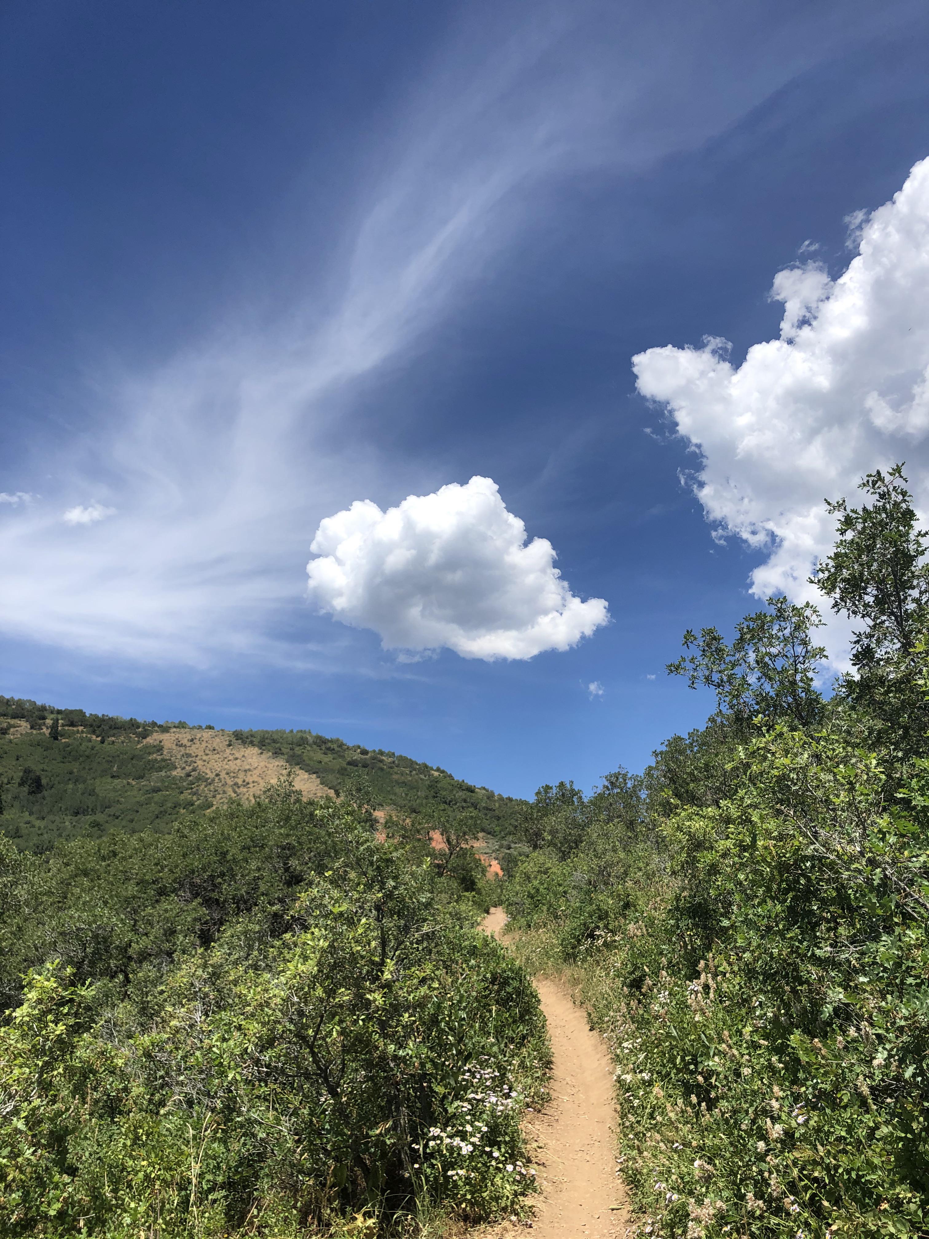 Wonderful. | Scrolller