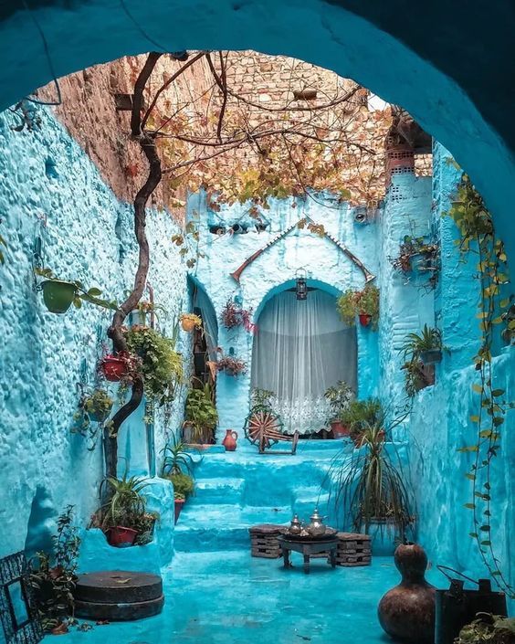 Wonderful Garden located in Morocco | Scrolller