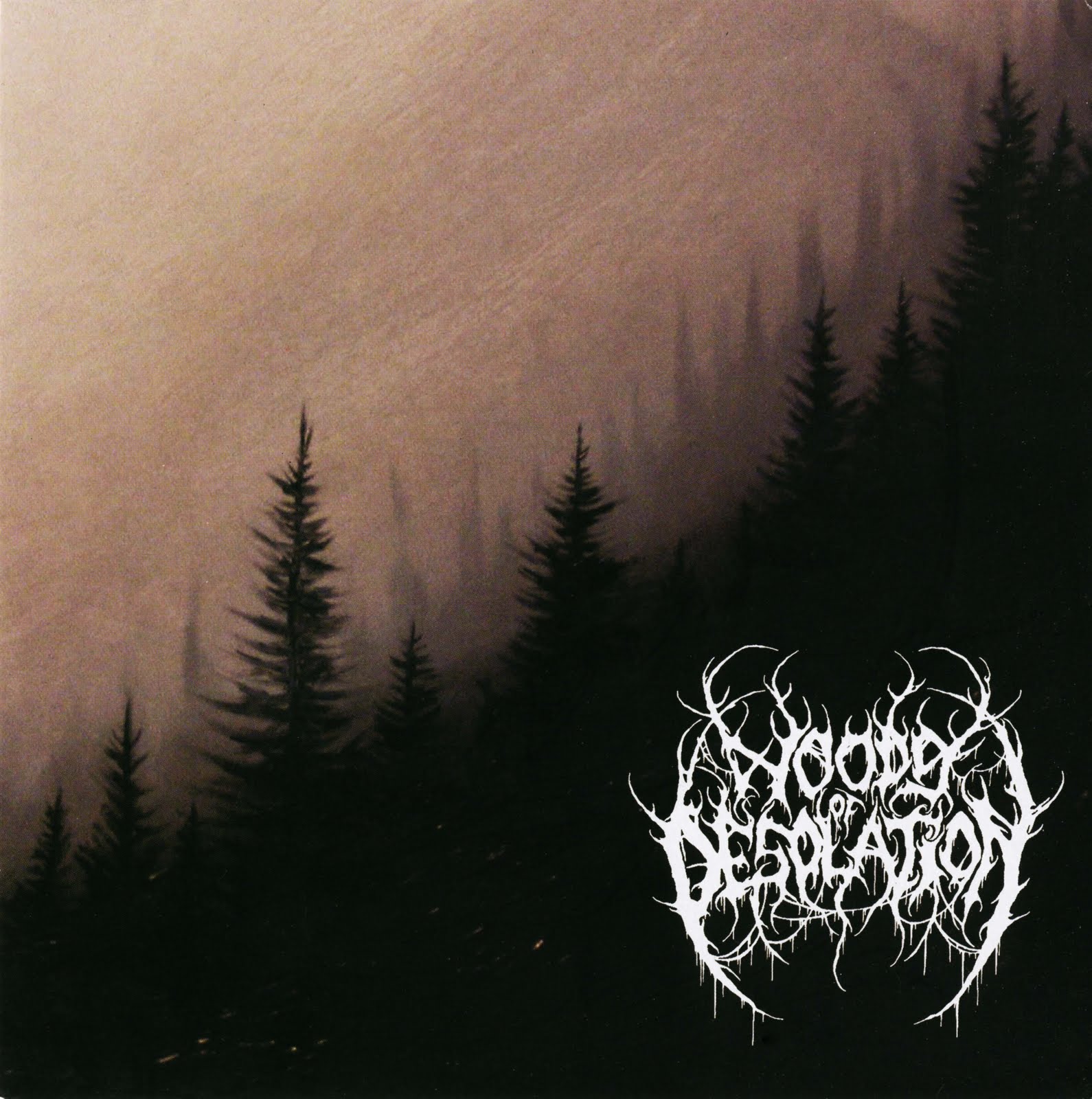 Woods of Desolation. | Scrolller