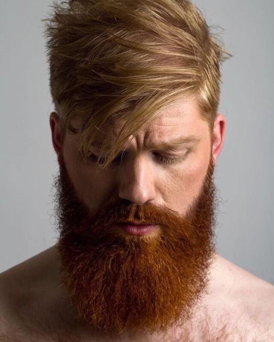 Wooly Ginger Beard | Scrolller
