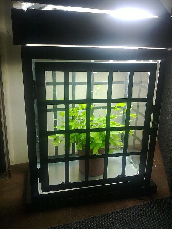 Work in progress | Scrolller