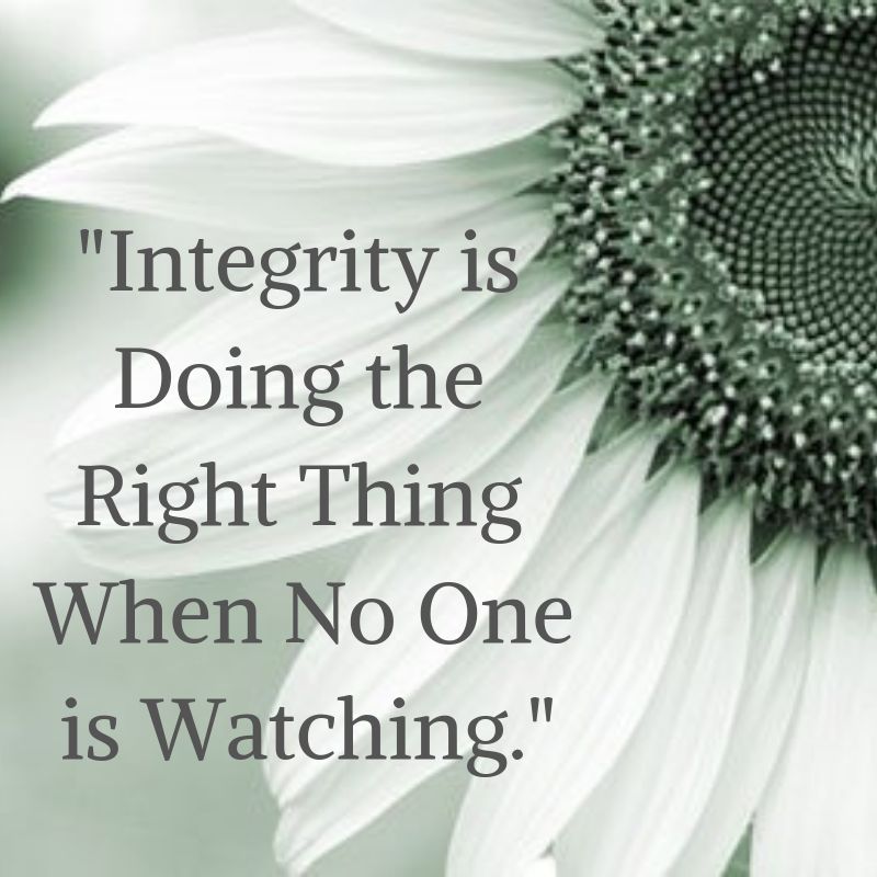 Work Smart Dream Big | Scrolller