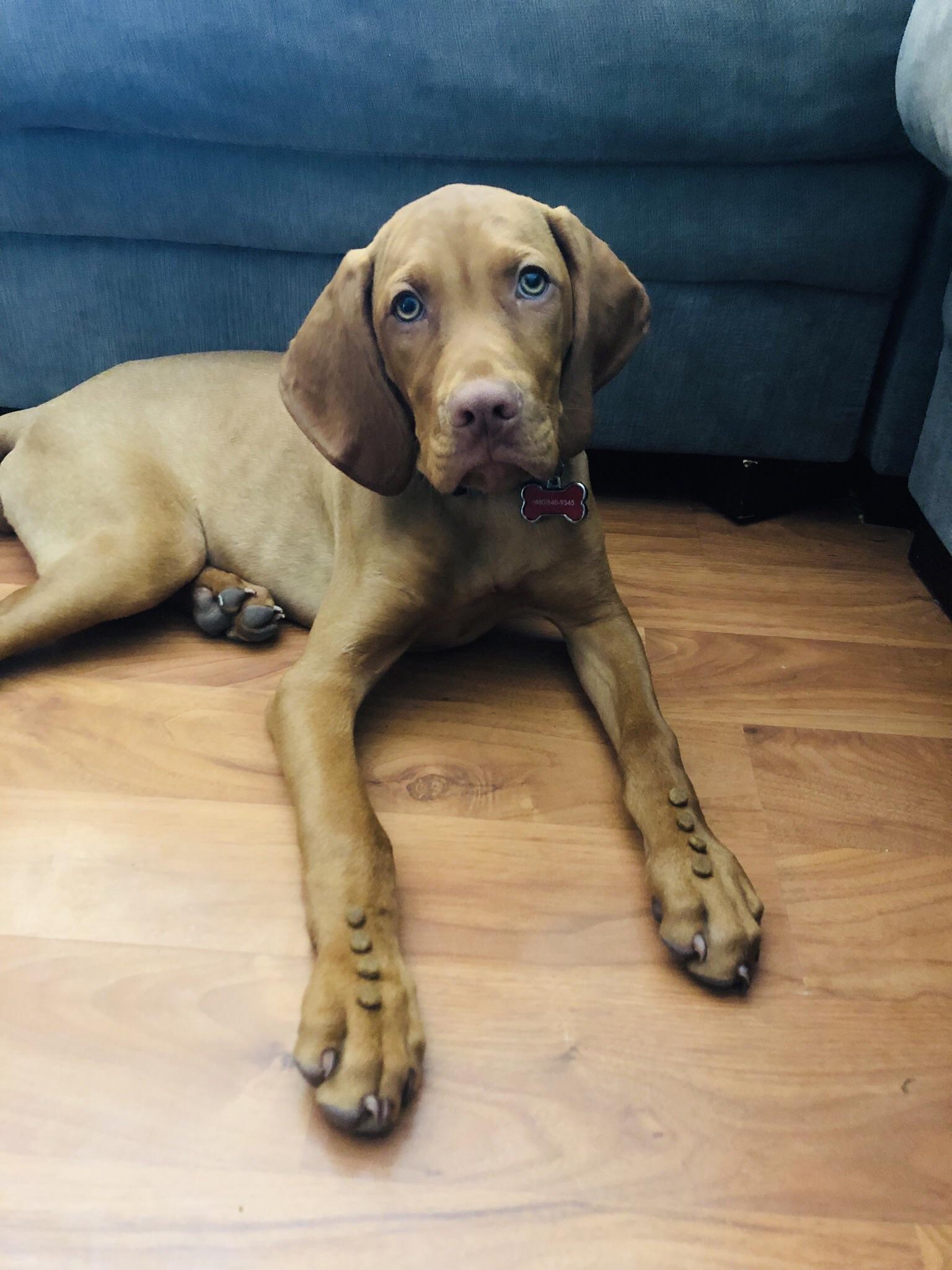 Working on impulse control with Mr. Oliver | Scrolller