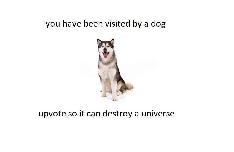 WOrlD rEcORd doG | Scrolller