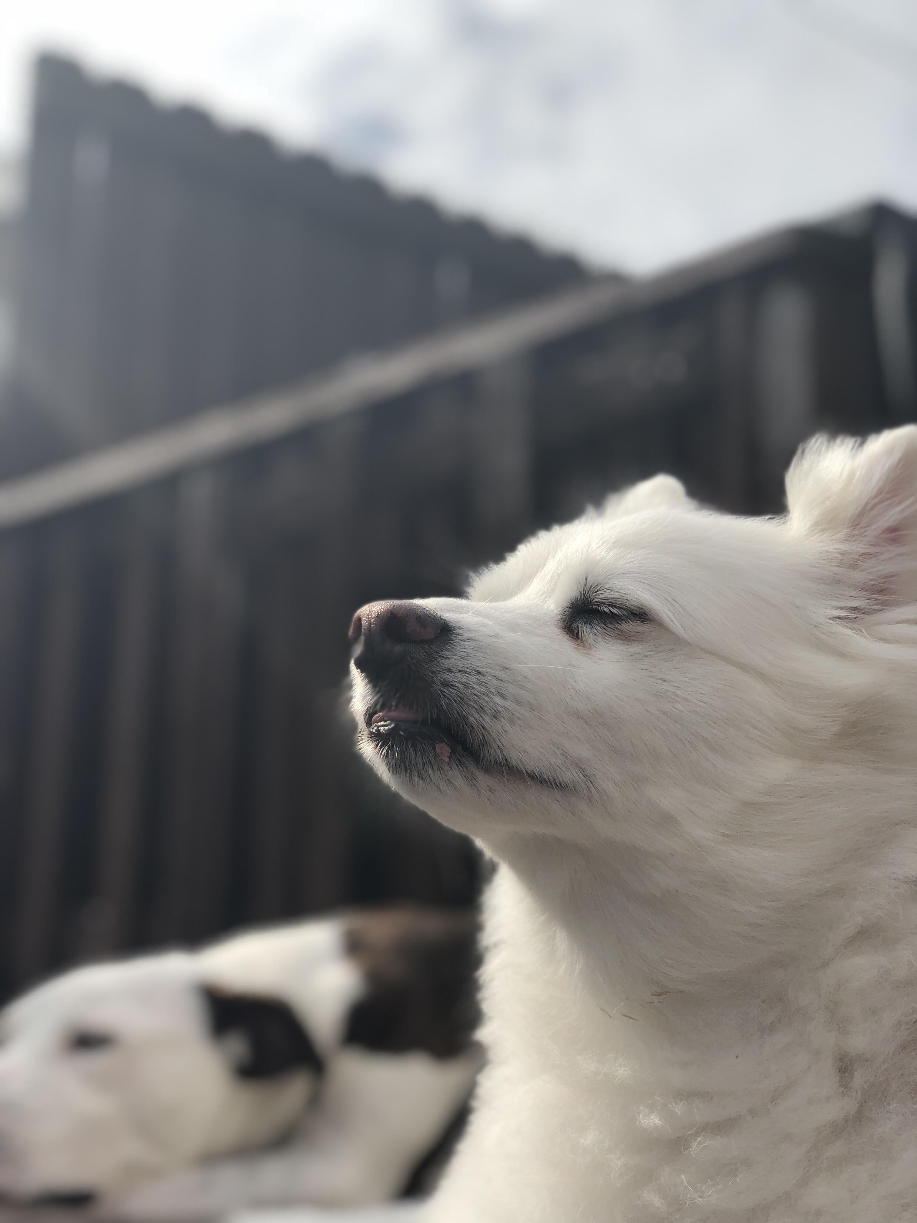 Worlds tiniest blop ftr Murphy | Scrolller