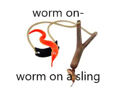 WORM ON A SLING. | Scrolller