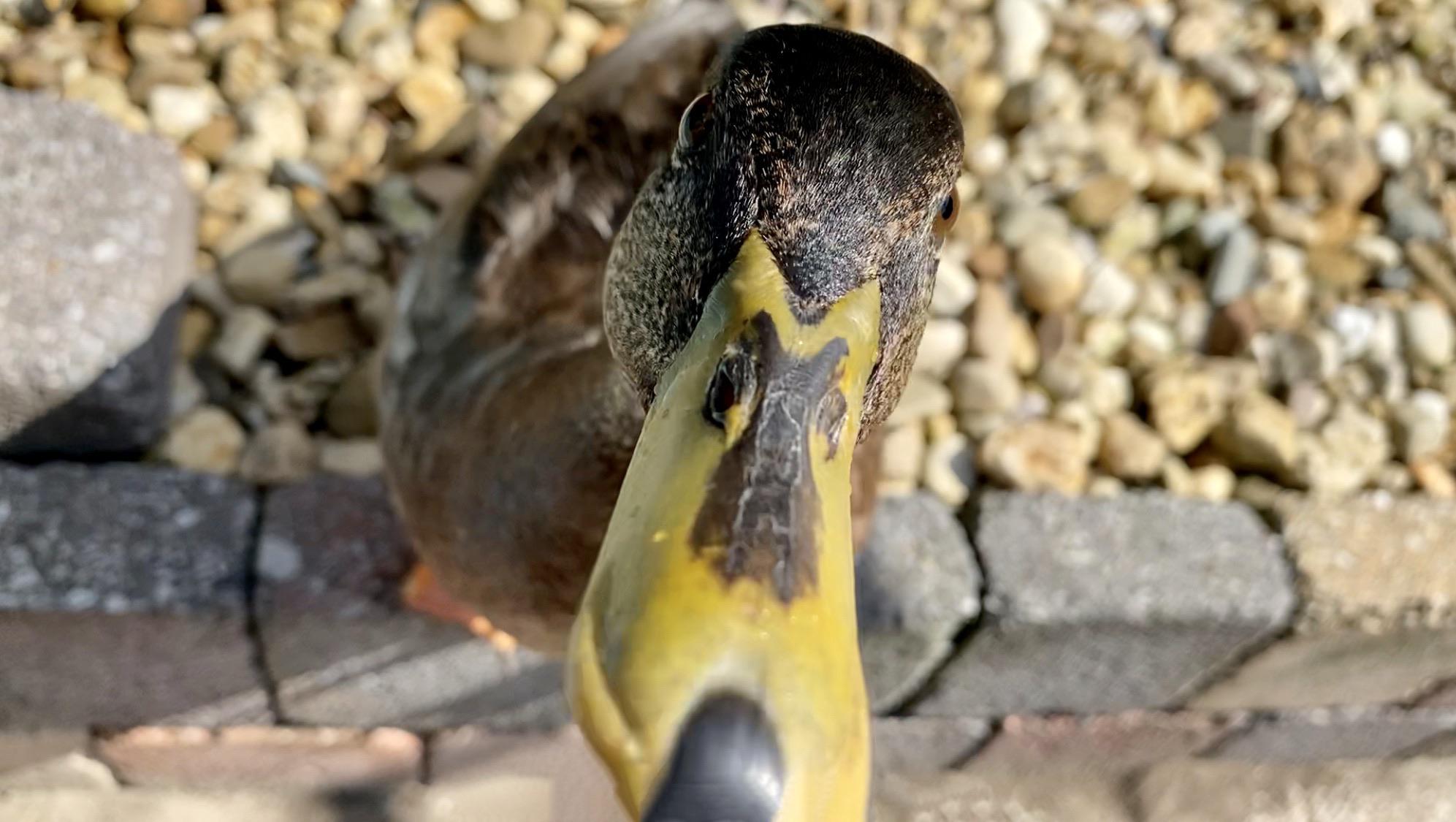 Worms??? | Scrolller