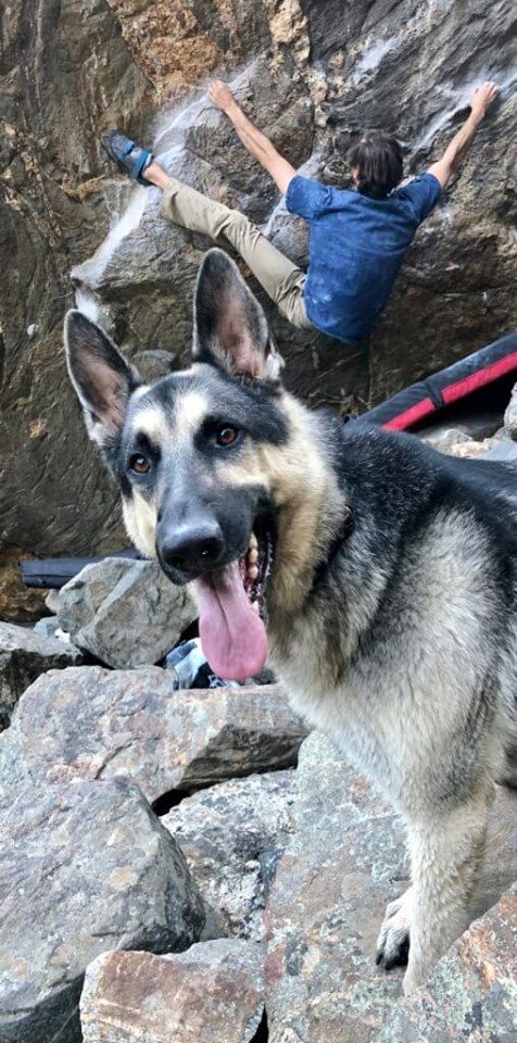 Worst spotter ever | Scrolller